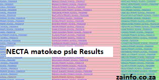NECTA matokeo psle Results 2023-2024 I Standard Seven Result ...