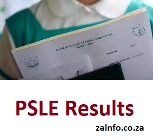 Botswana Primary School Leaving Examinations (PSLE) Results 2025-2026 ...